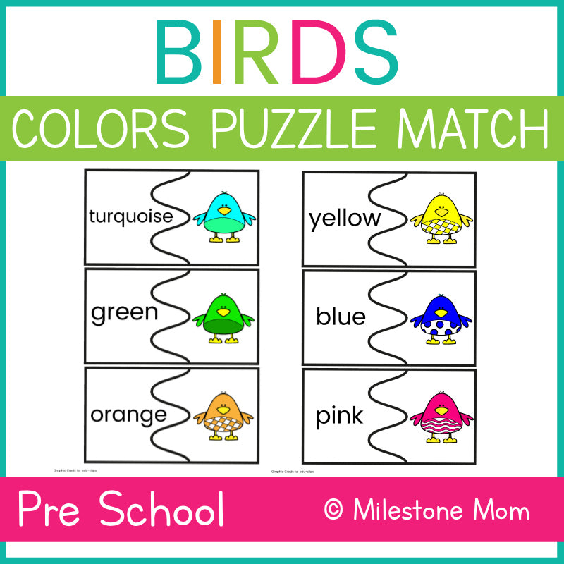 Printable Birds Color Matching Puzzle – Milestone Mom LLC