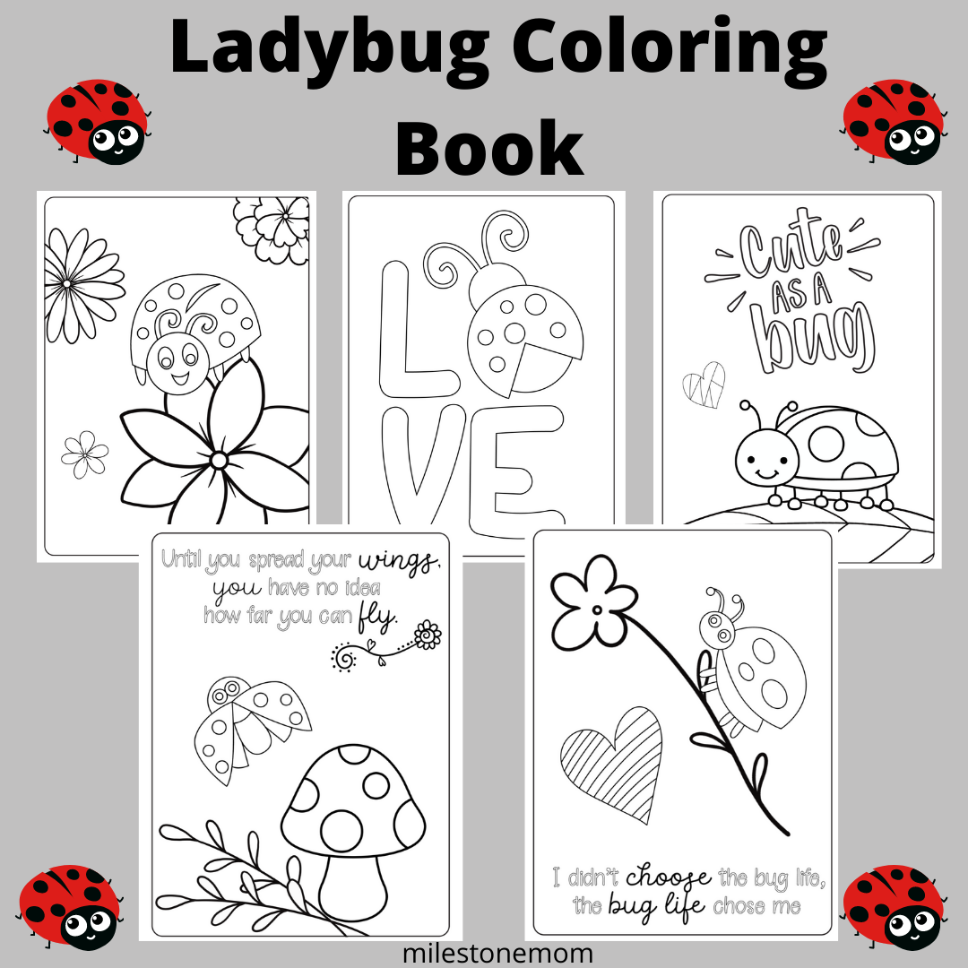 printable coloring pages ladybug